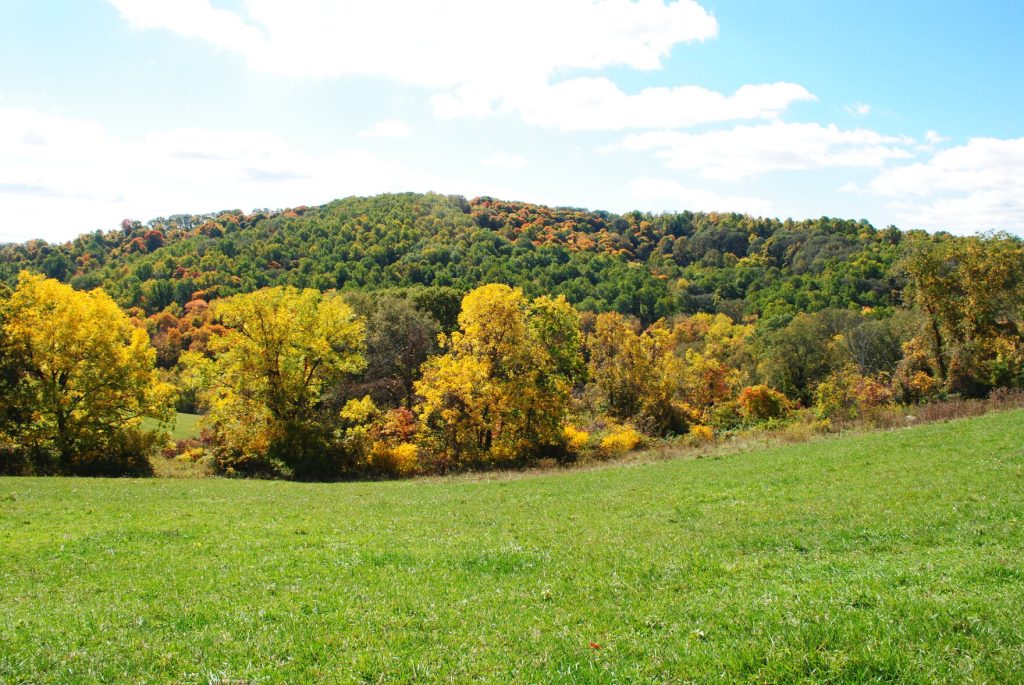 See fall’s splendor on a driving tour of Greene County - Herald-Standard